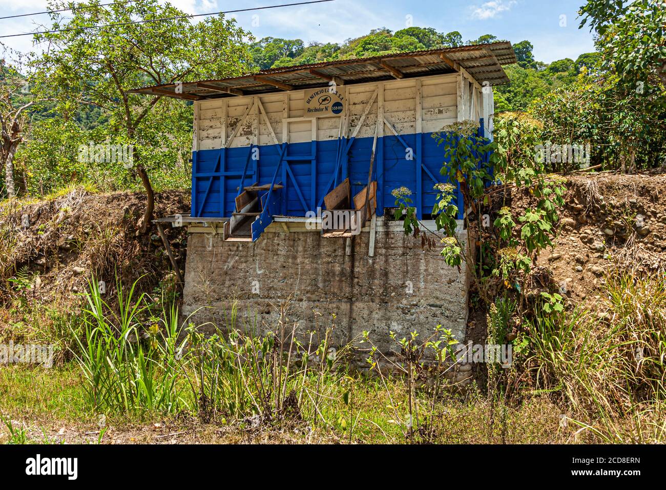 Loading station for the harvested coffee Stock Photo - Alamy