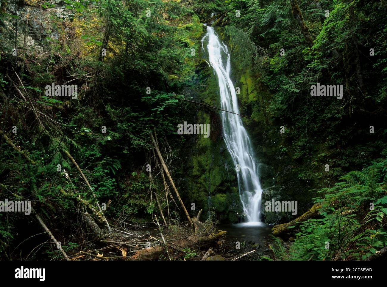 Madison falls olympic national park hi-res stock photography and images ...