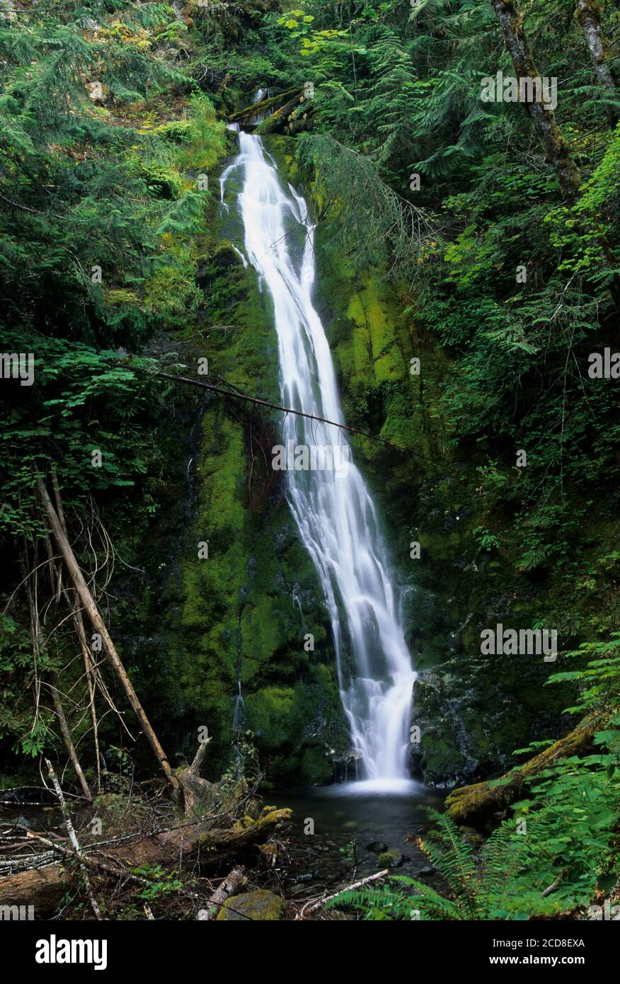 Madison Falls, Olympic National Park, Washington Stock Photo - Alamy