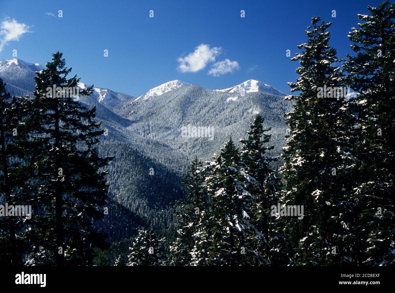 View from Hurricane Ridge Road in winter, Olympic National Park ...