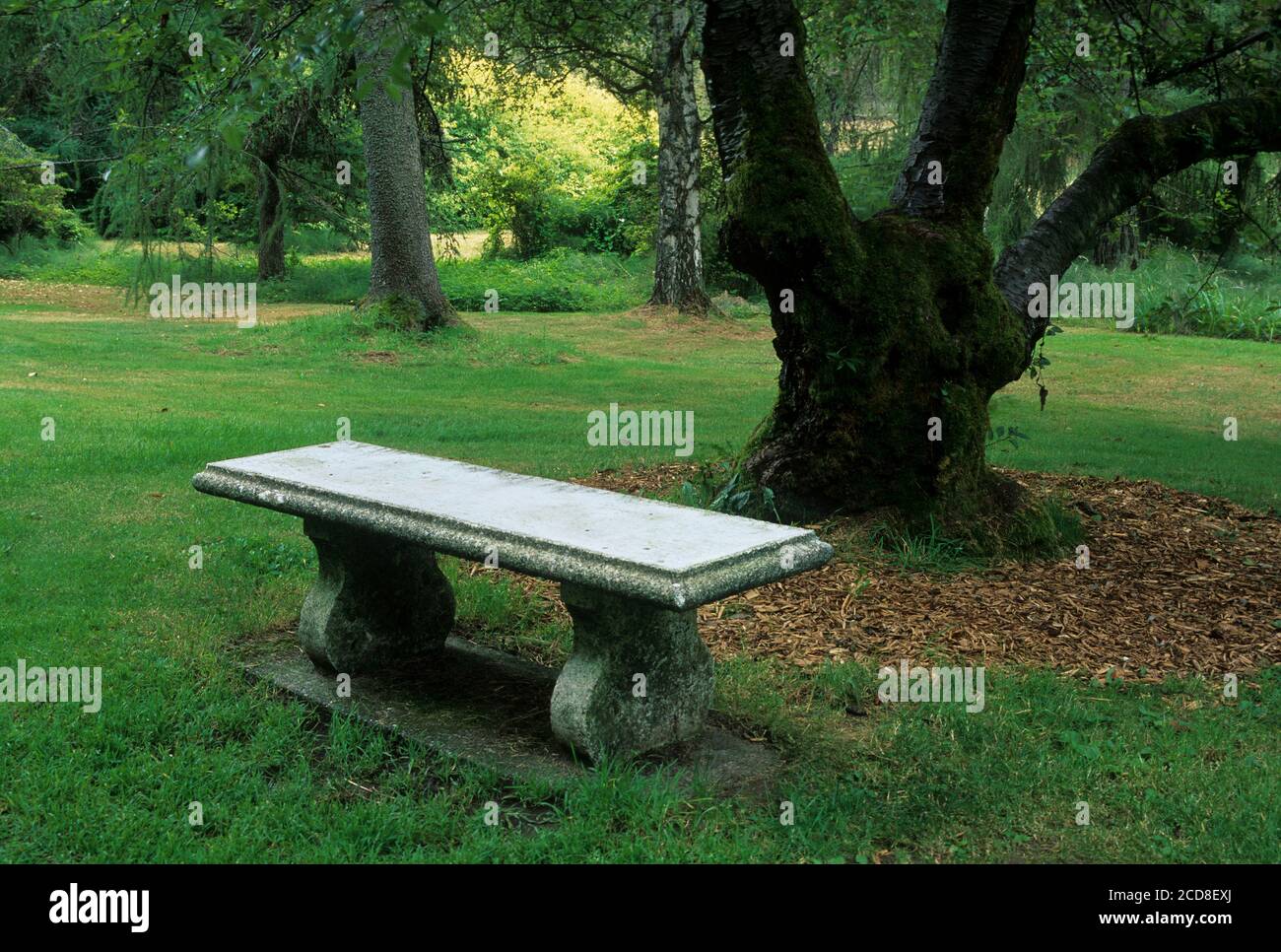 Bench, Washington Park Arboretum, Seattle, Washington Stock Photo - Alamy