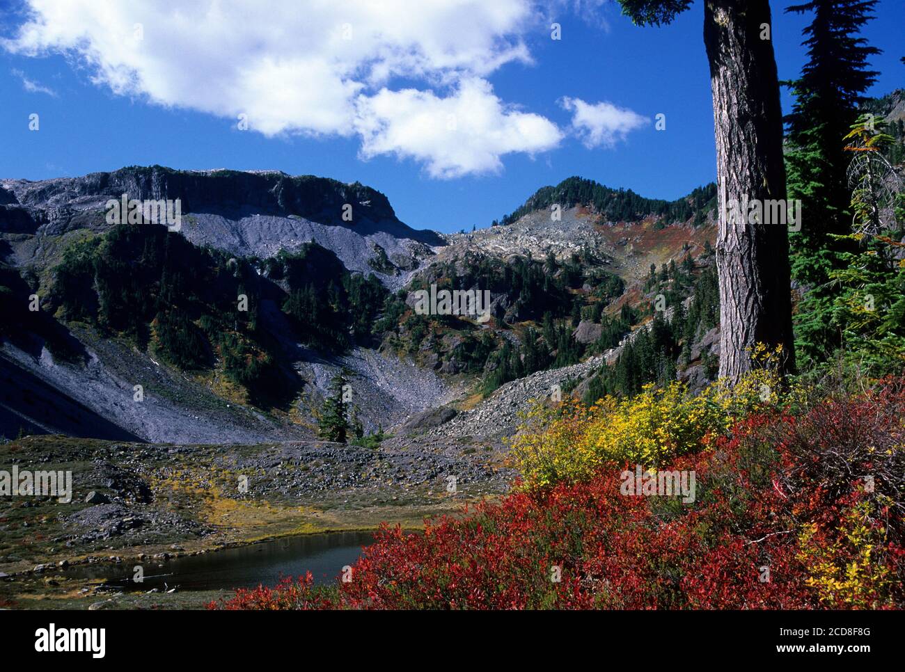 Bagley hi-res stock photography and images - Alamy