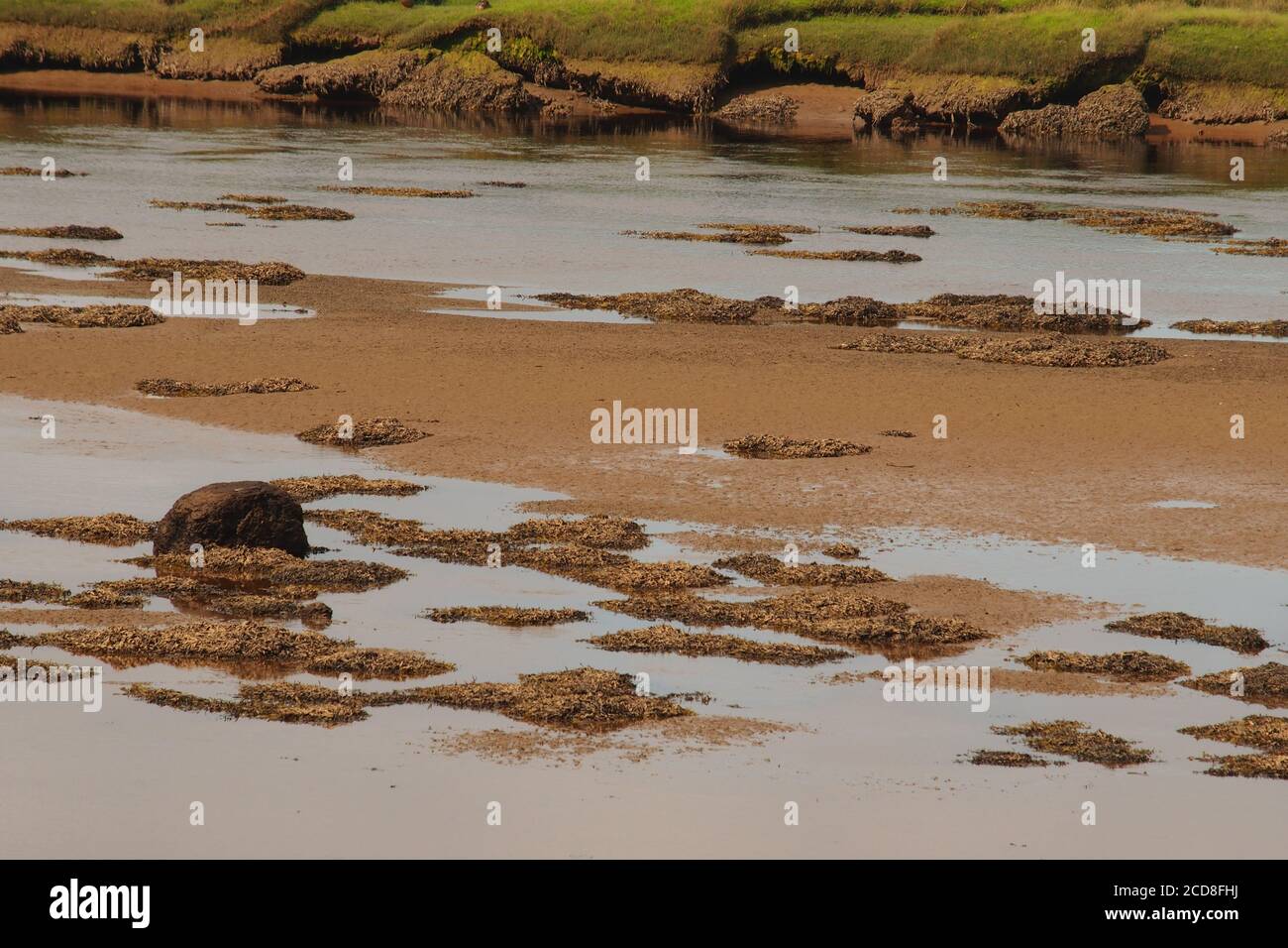 A view across Moine Mhor Nature Reserve near Kilmartin and the Crinan ...