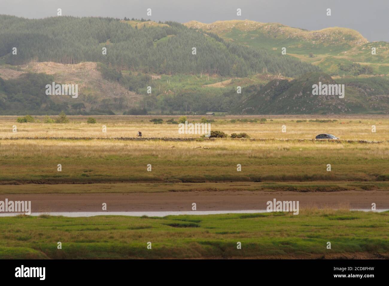 Moine mhor nature reserve hi-res stock photography and images - Alamy