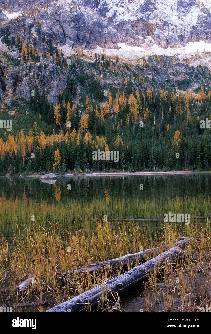 Cutthroat Lake, Okanogan National Forest, Washington Stock Photo - Alamy