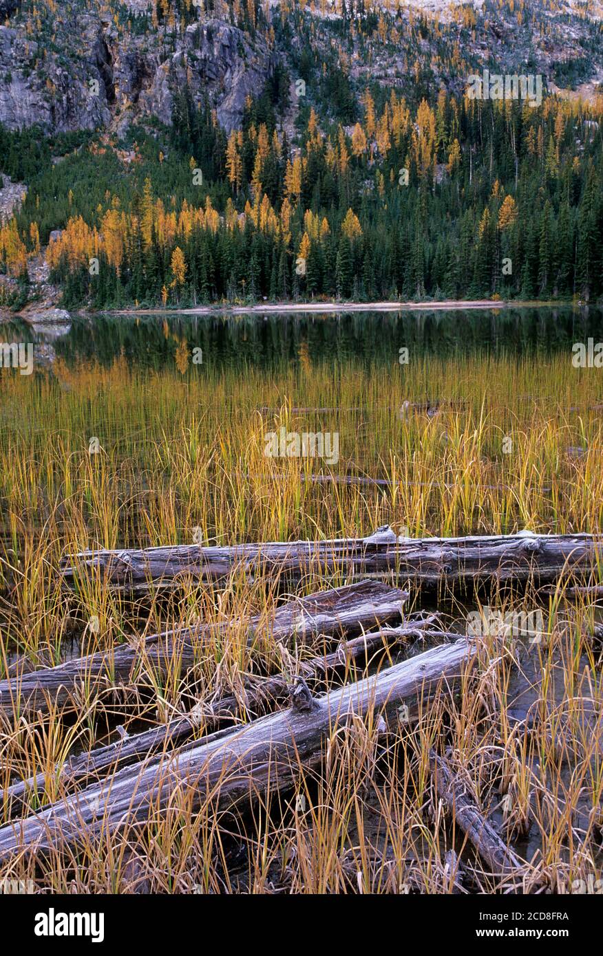 Cutthroat Lake, Okanogan National Forest, Washington Stock Photo - Alamy