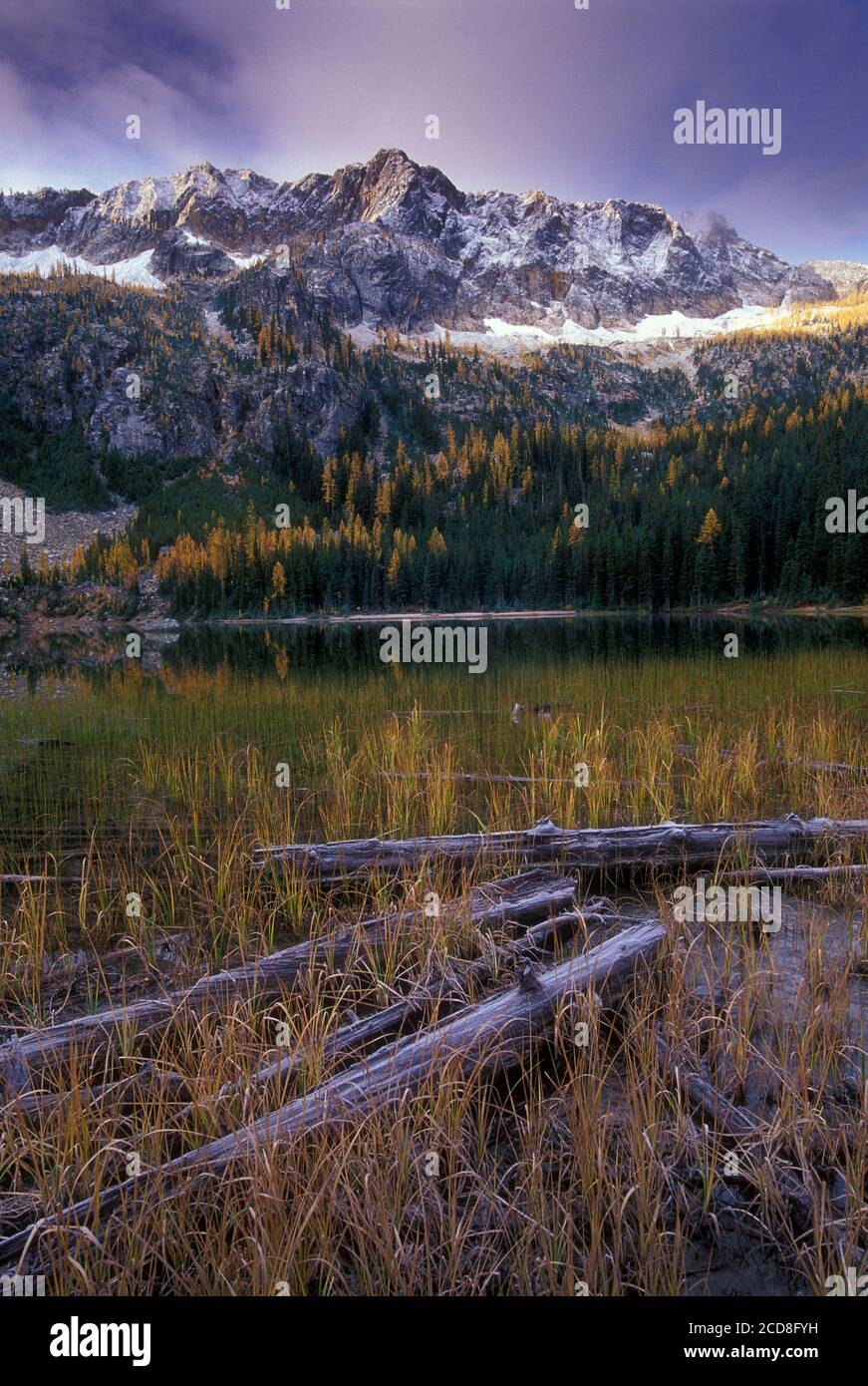 Cutthroat Lake, Okanogan National Forest, Washington Stock Photo - Alamy