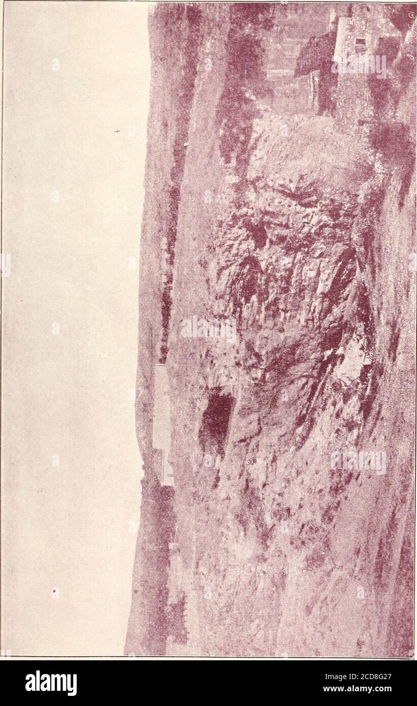 Prophets face hi-res stock photography and images - Alamy