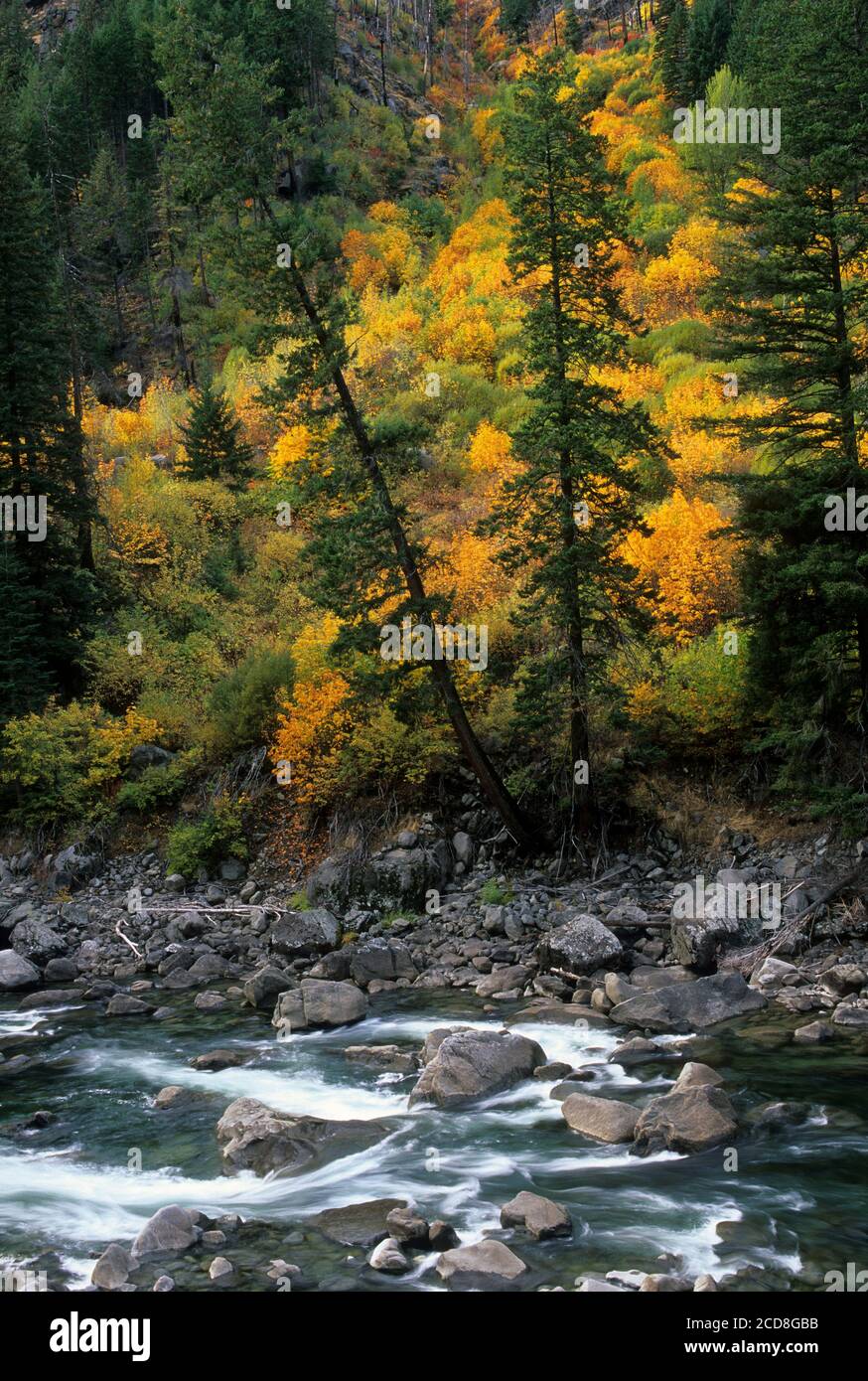 Wenatchee River in Tumwater Canyon, Wenatchee National Forest ...