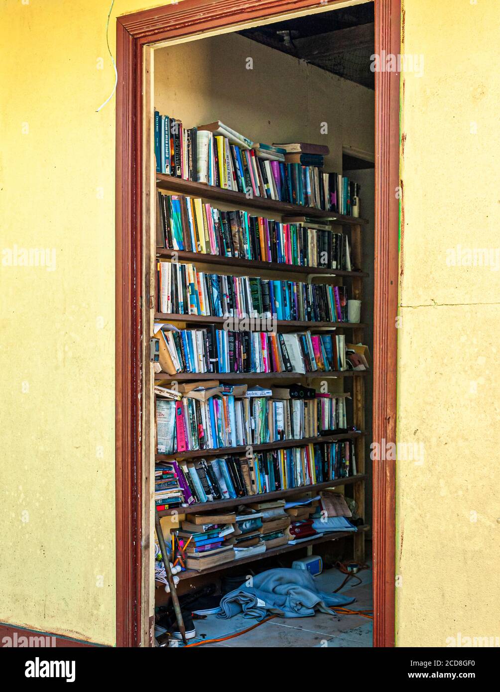 Library at Biosphere Citizen Scientist Project Camp to save Sea Turtles ...