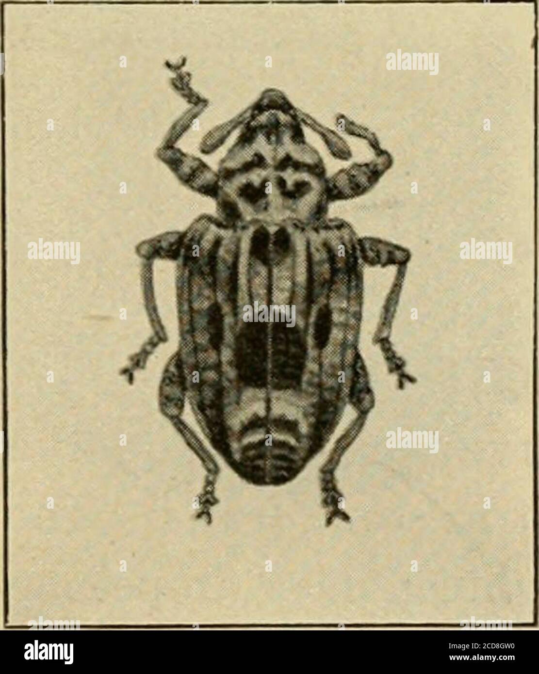 Little cuts on skin hi-res stock photography and images - Alamy