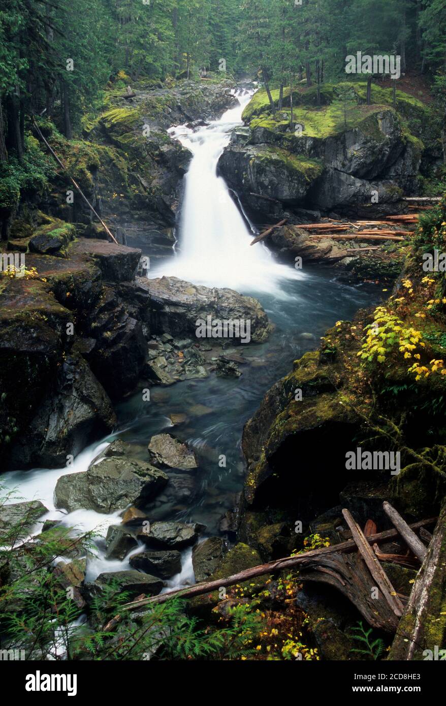 Silver Falls, Mt Rainier National Park, Washington Stock Photo - Alamy