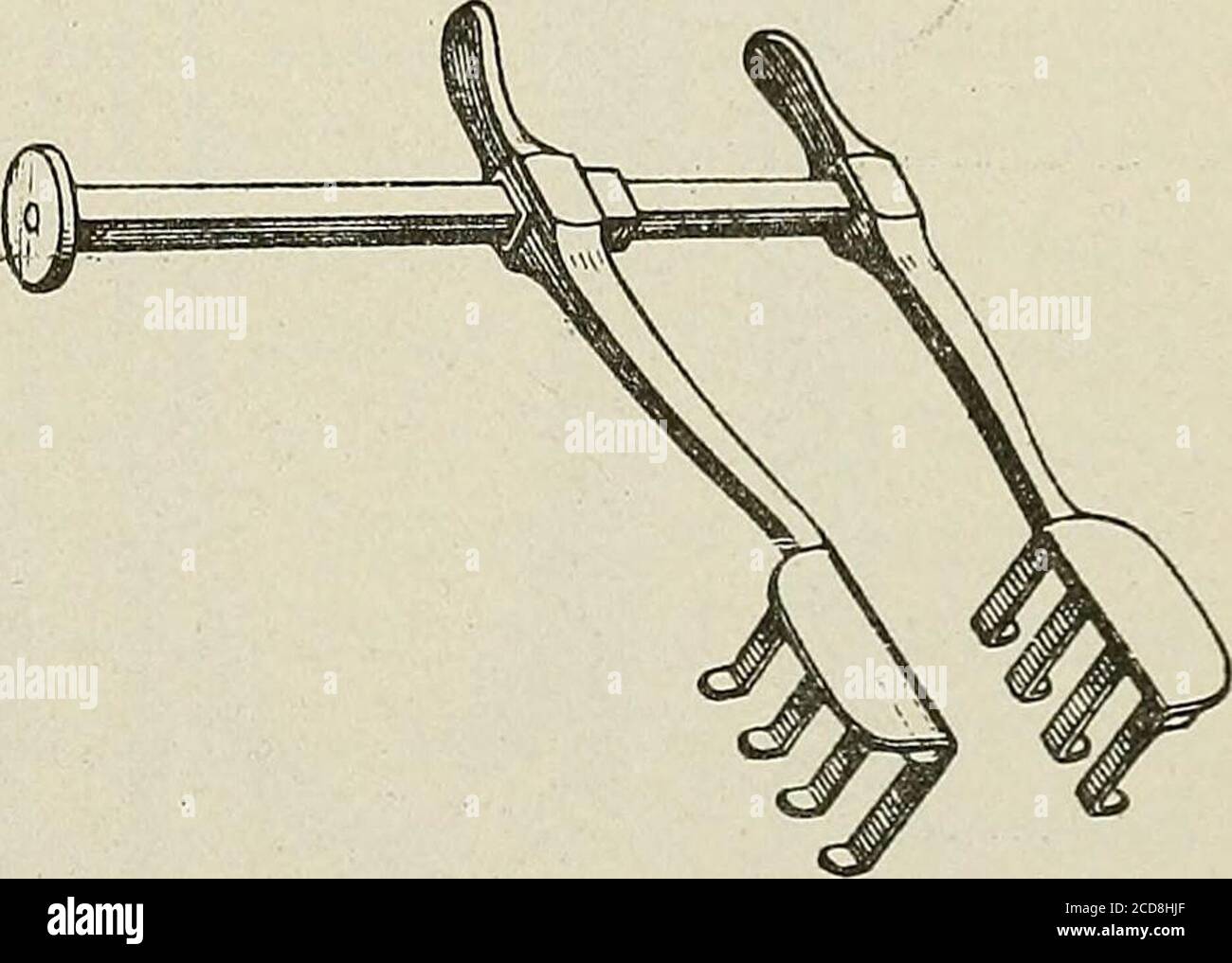 Intestinal segments hi-res stock photography and images - Alamy
