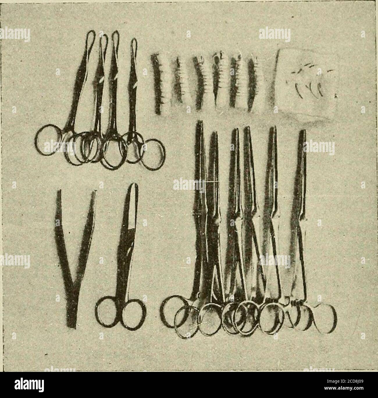 Forceps Types