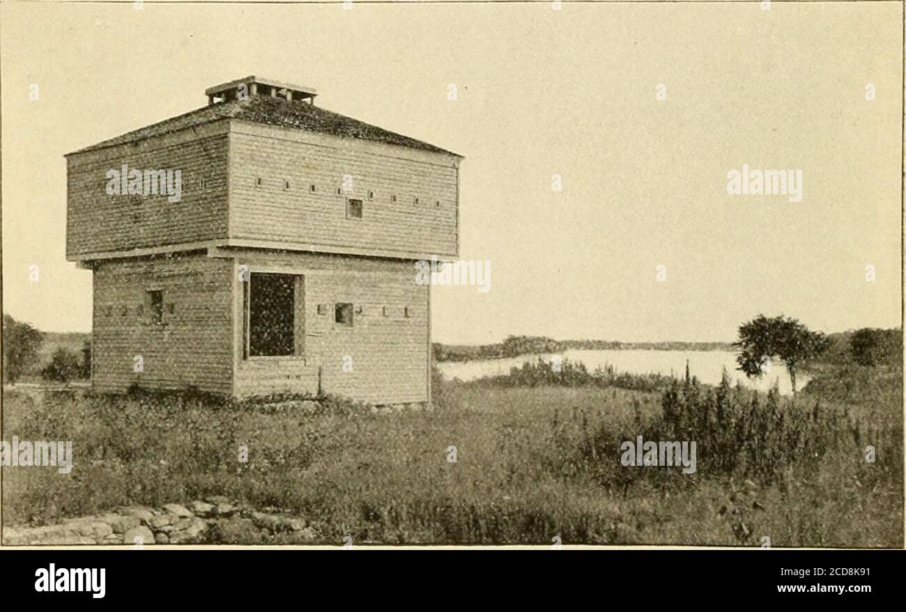 First crow wing lake hi-res stock photography and images - Alamy