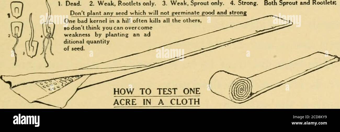 . Agriculture and the farming business . een removed. The rag-doU ...