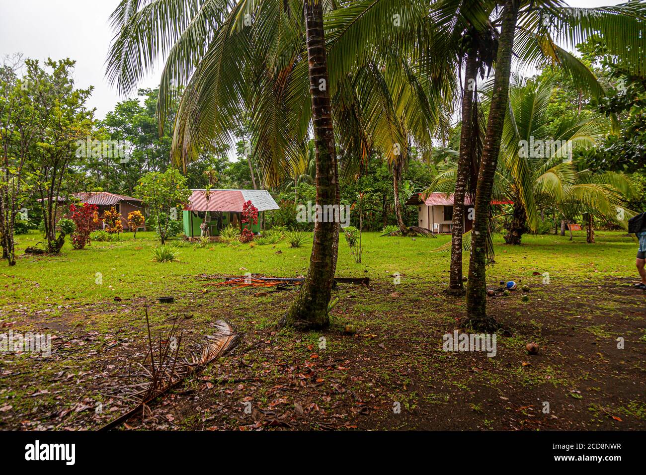 Biosphere citizen science project for sea turtles protection in Costa ...