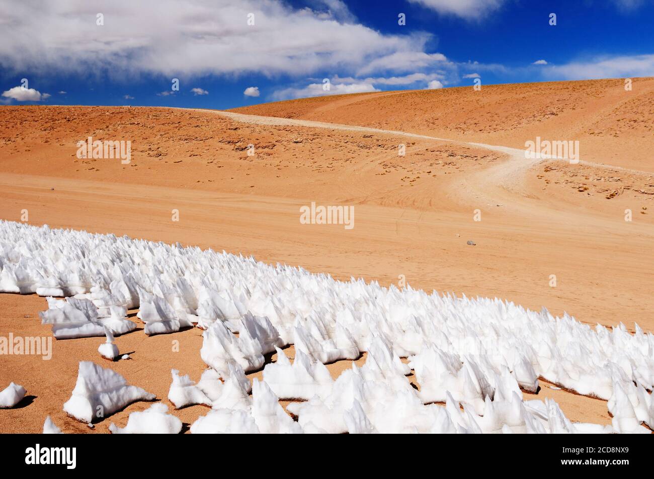 Bolivia - the most beautifull Andes in South America. The surreal ...