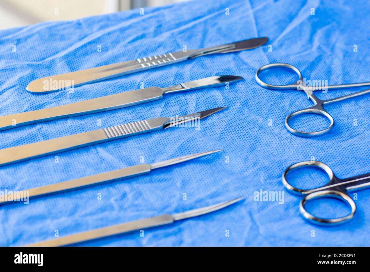 Dissection Kit - Stainless Steel Tools for Medical Students of Anatomy ...