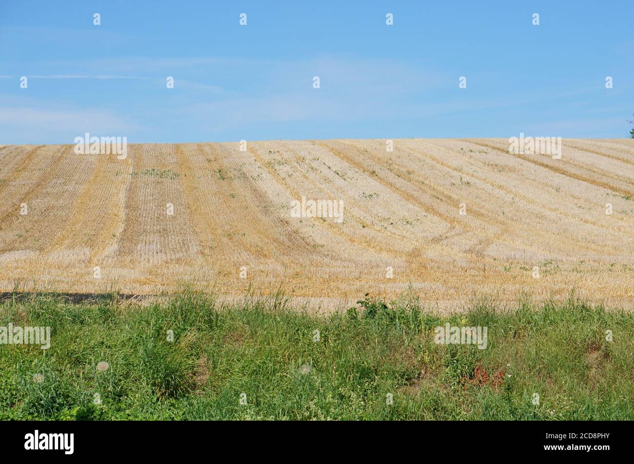 Beutiful clear sky over a dike landscape Stock Photo - Alamy