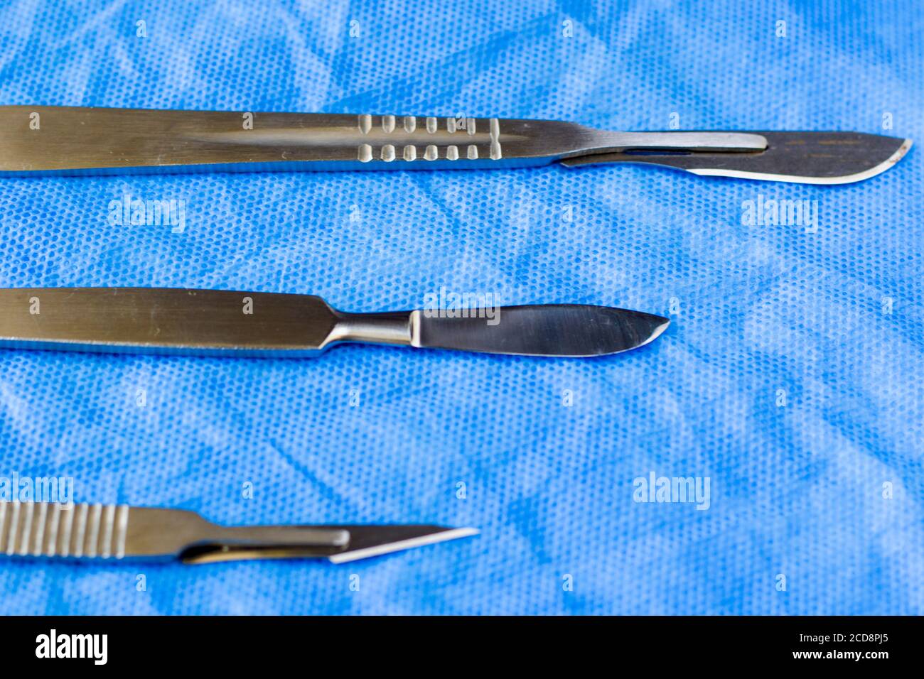 Dissection Kit - Stainless Steel Tools for Medical Students of Anatomy ...
