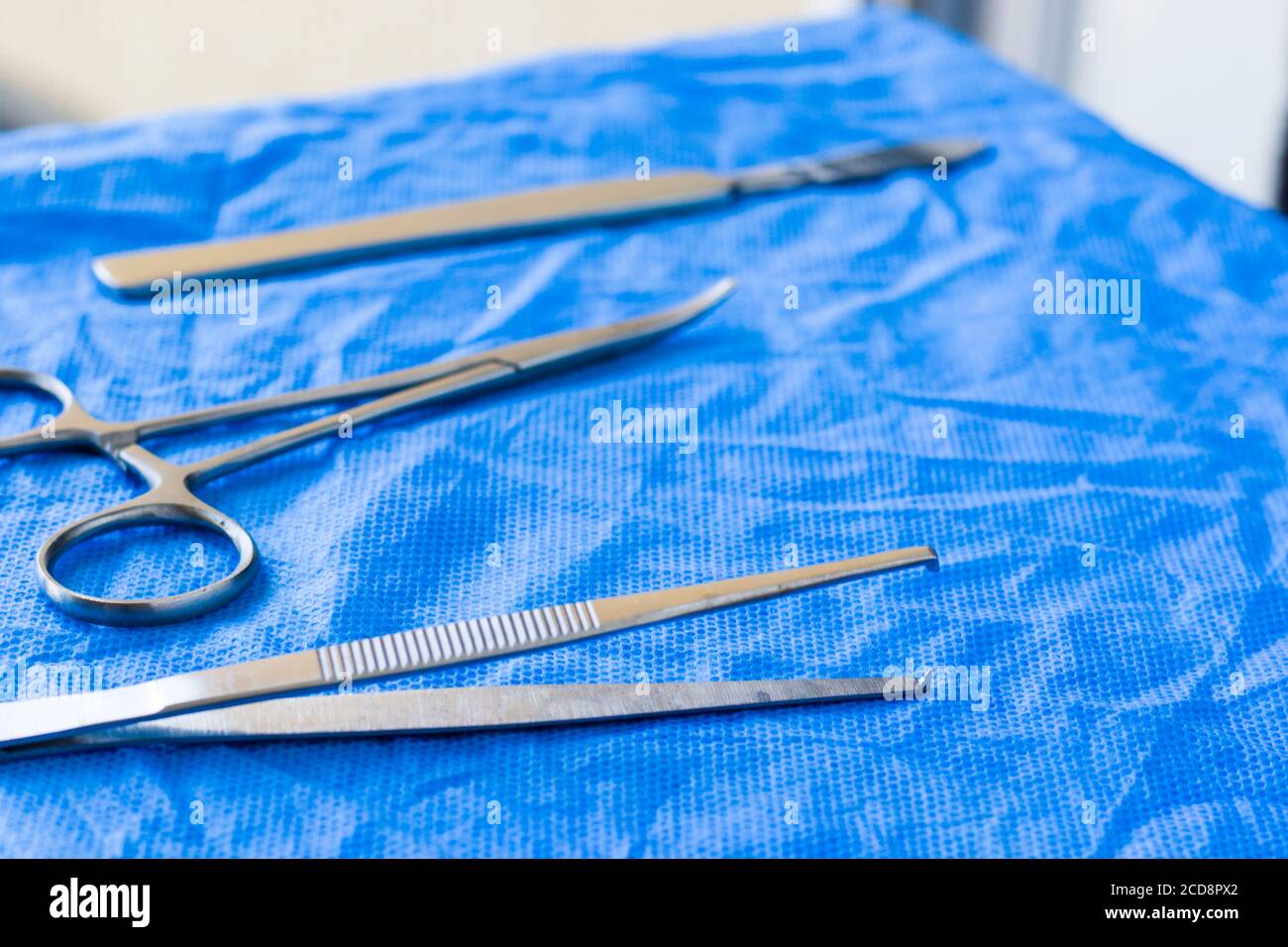 Dissection Kit - Stainless Steel Tools for Medical Students of Anatomy ...