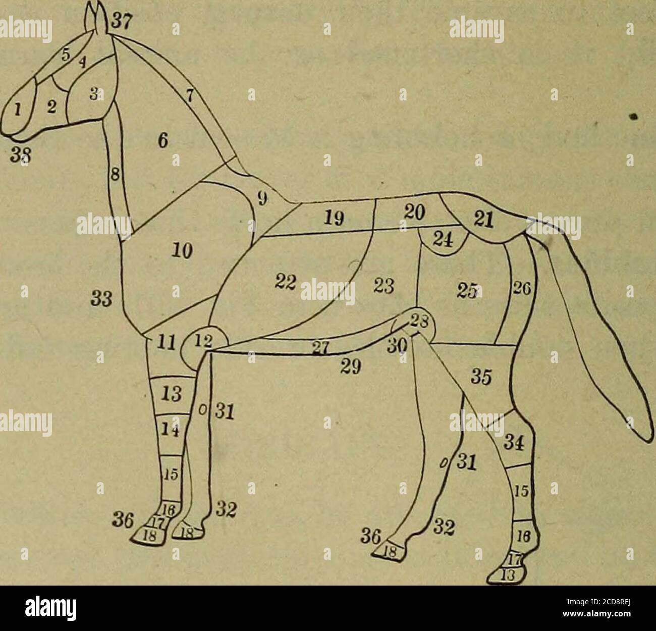 Cannon vents hi-res stock photography and images - Alamy