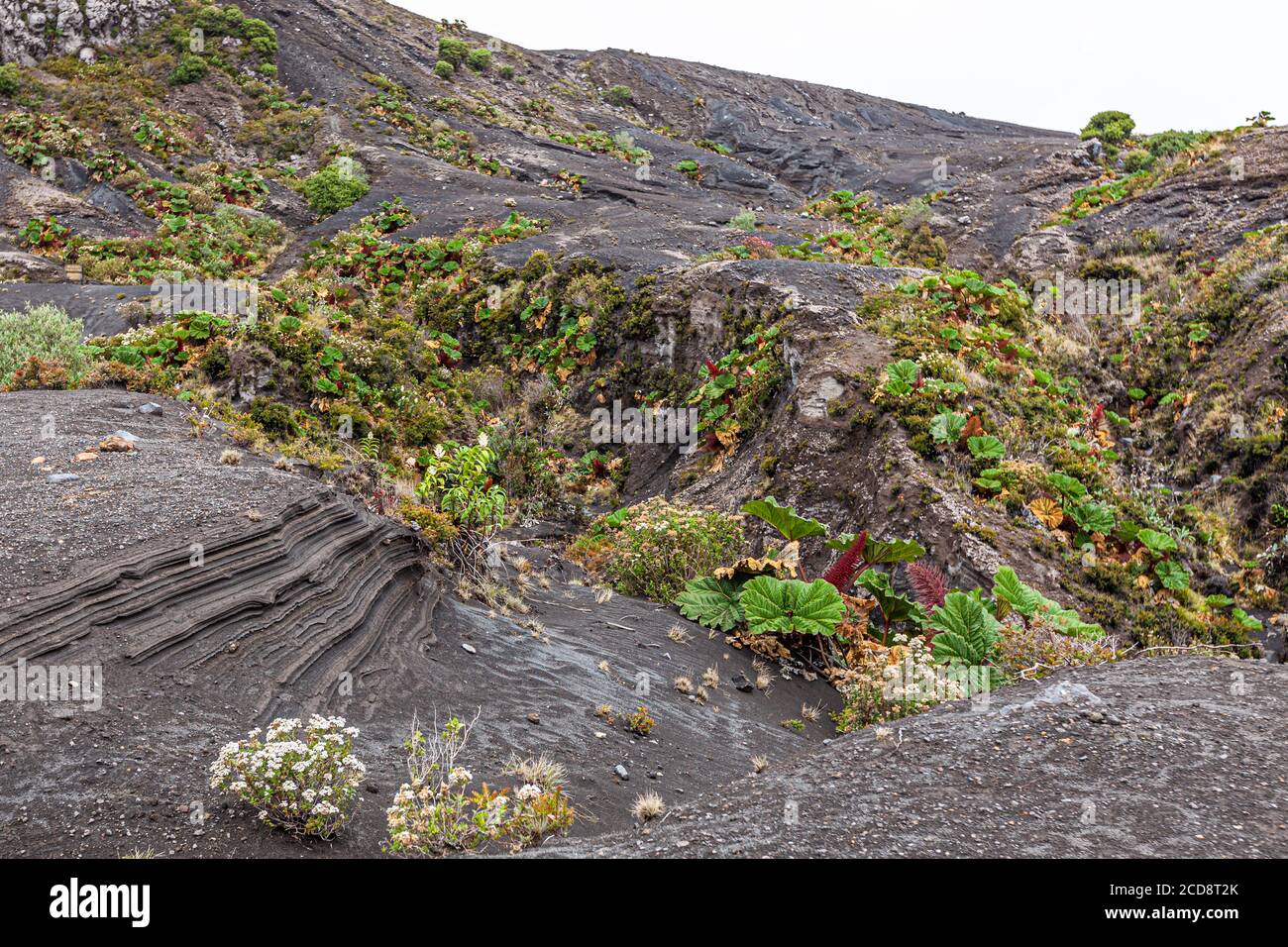 Normal fault hi-res stock photography and images - Alamy
