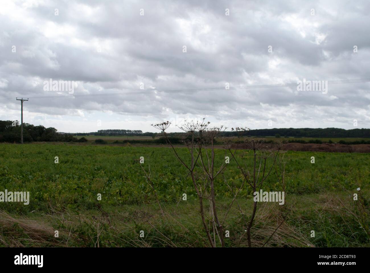 Bank of stream Stock Photo - Alamy