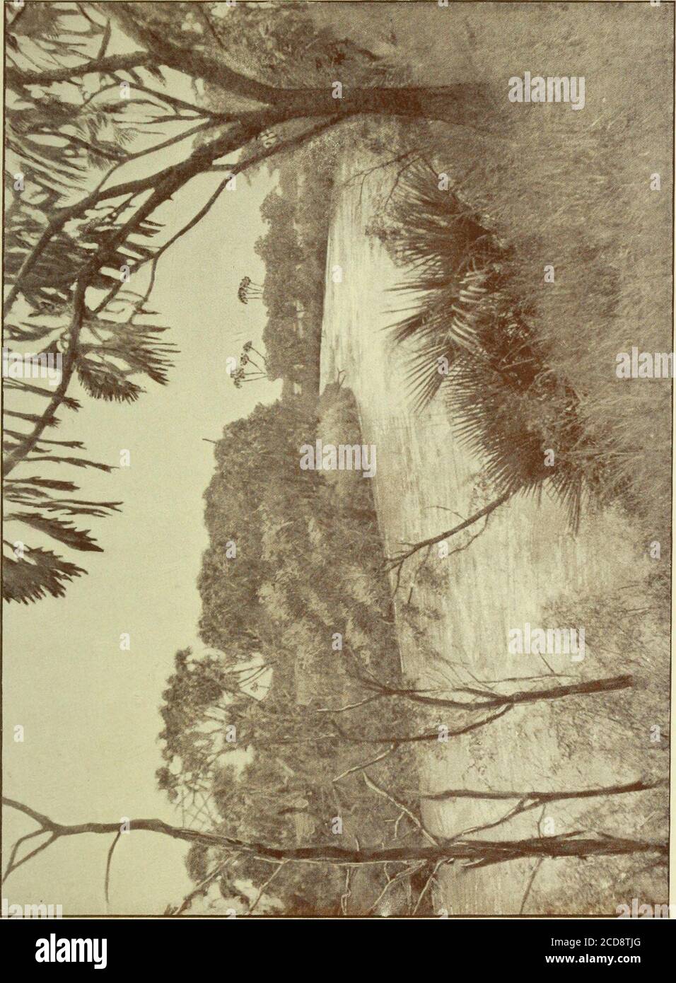 Sheer cliff goat hi-res stock photography and images - Alamy