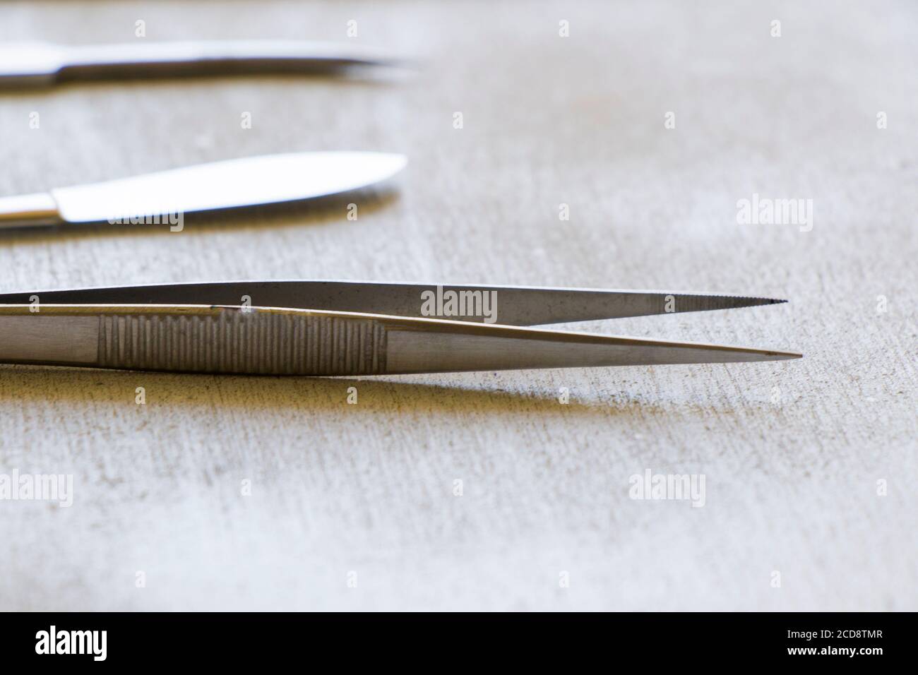 Dissection Kit - Stainless Steel Tools for Medical Students of Anatomy ...