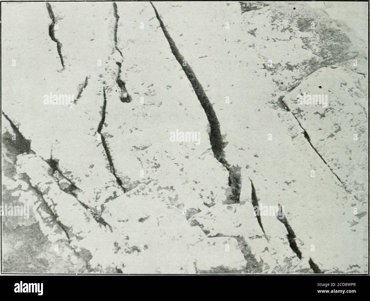 Albite Twinning Plagioclase