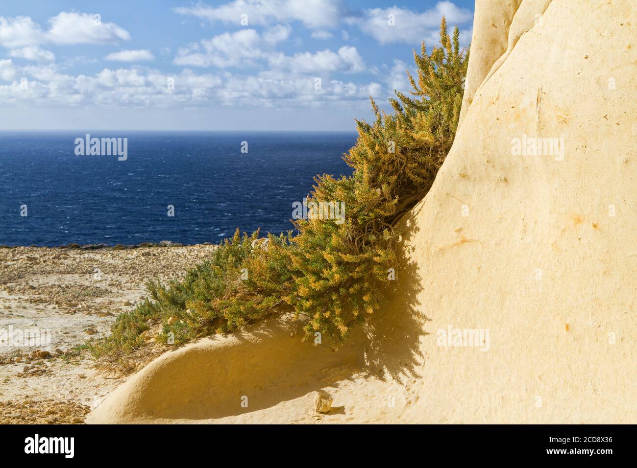 Detail of limestone cliffs on Gozo Island, Malta Stock Photo - Alamy