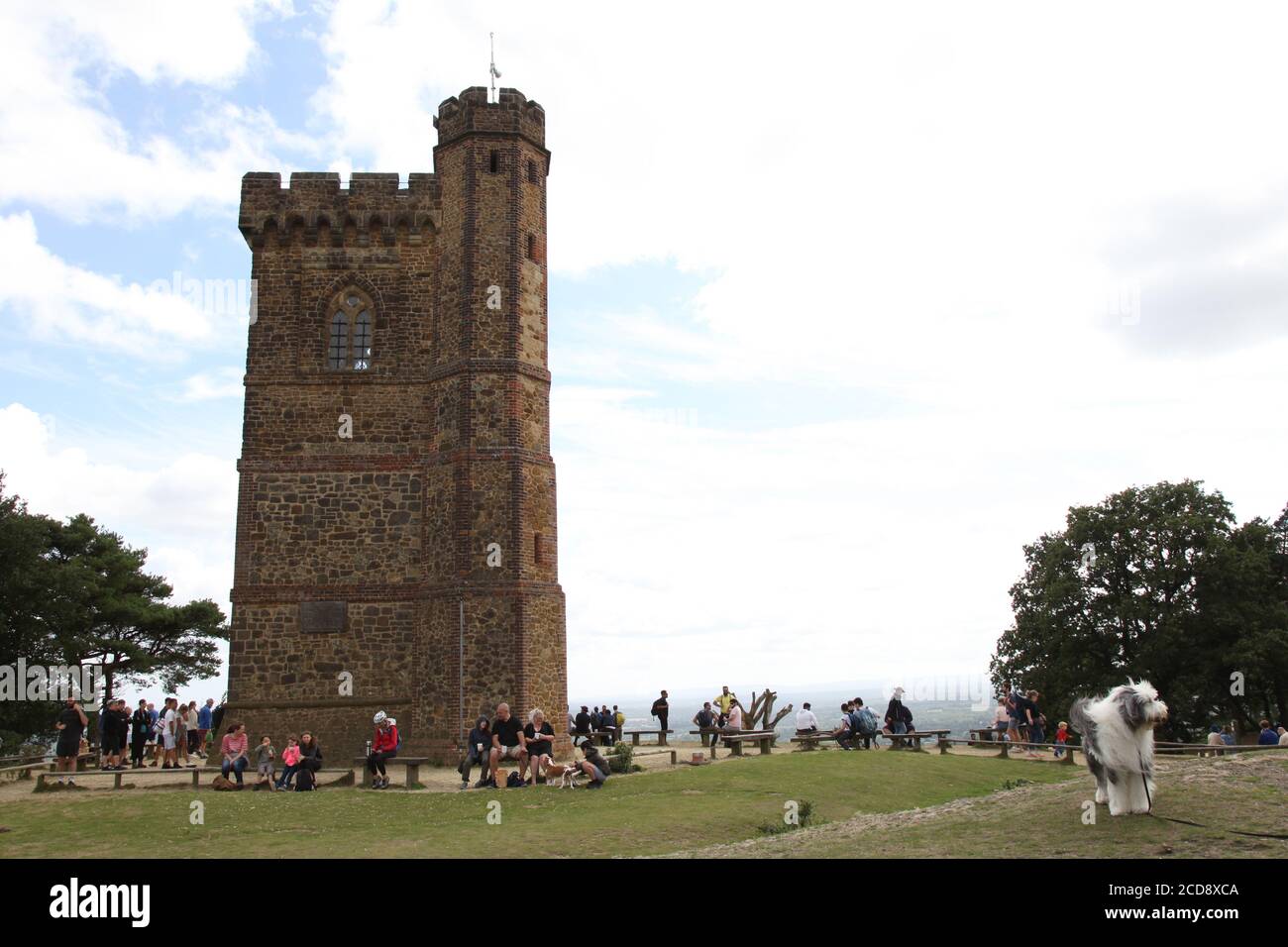 Visitors and Tourists at Leith Hill Tower, Surrey Hills, Surrey ...