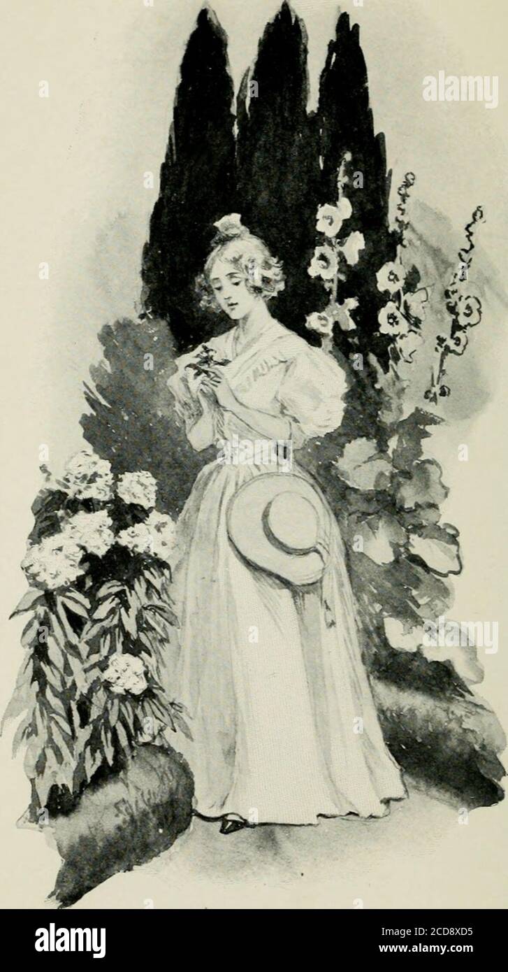 Jack comer hi-res stock photography and images - Alamy