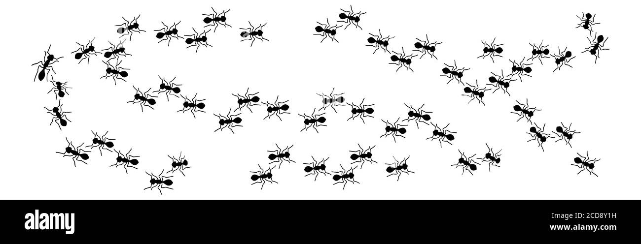 Ant Crawling Set Isolated On White Background Vector Illustration Stock