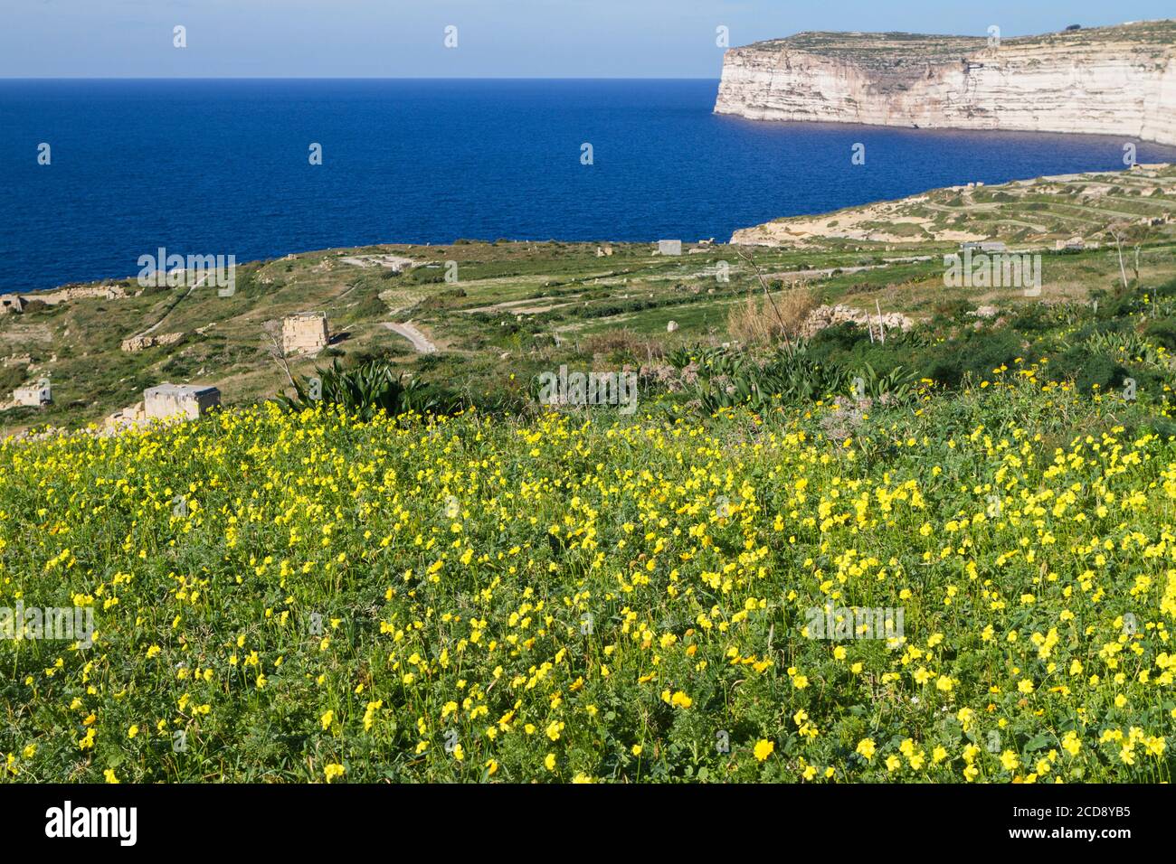 Seaside landscape with limestone cliffs on Gozo Island, Malta Stock ...