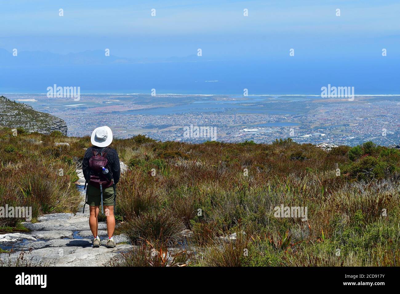 Fynbos Table Mountain High Resolution Stock Photography and Images - Alamy