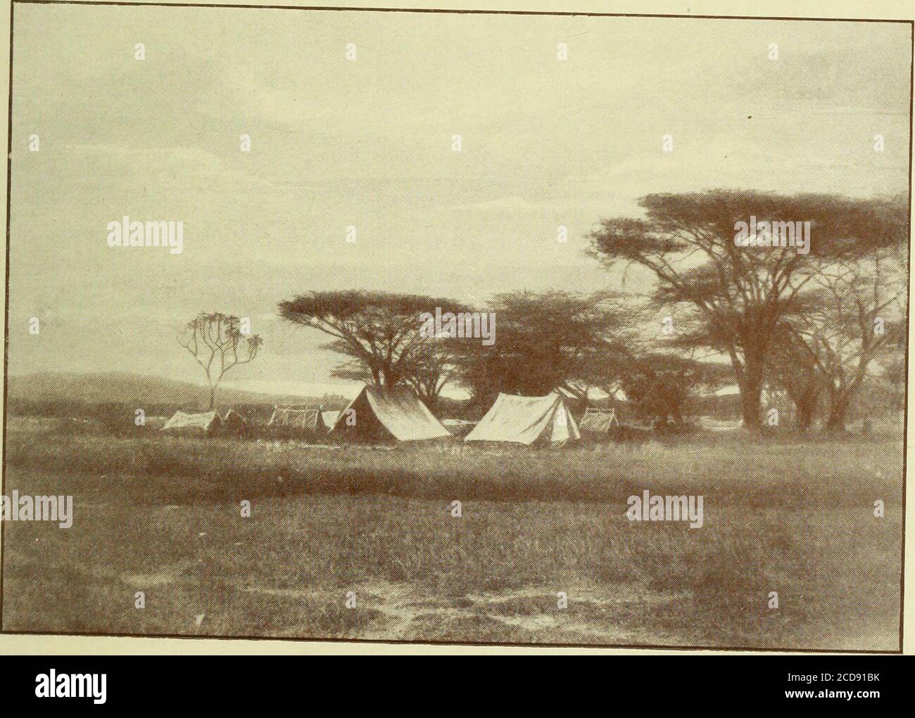 Stephanie land author hi-res stock photography and images - Alamy
