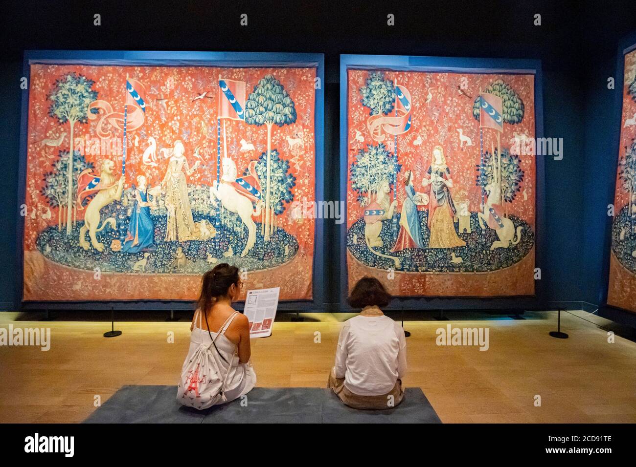 France, Paris, National museum of the Middle Ages-Cluny museum ...