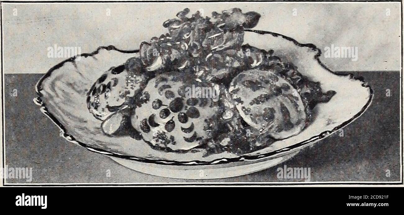 Trim sinew hi-res stock photography and images - Alamy