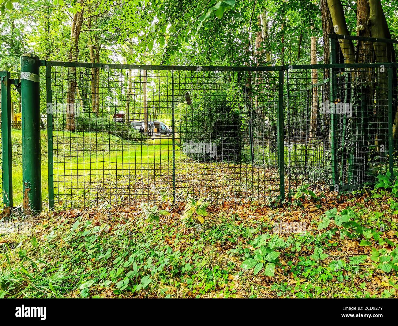 Green fence barricading a part of the forest Stock Photo - Alamy