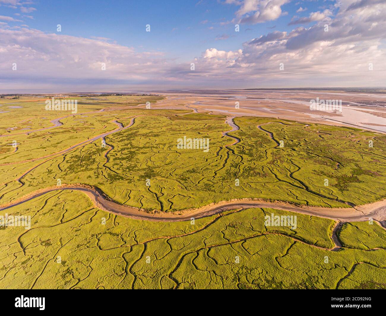France, Somme, Bay of Somme, Saint-Valery-sur-Somme, The salted meadows ...