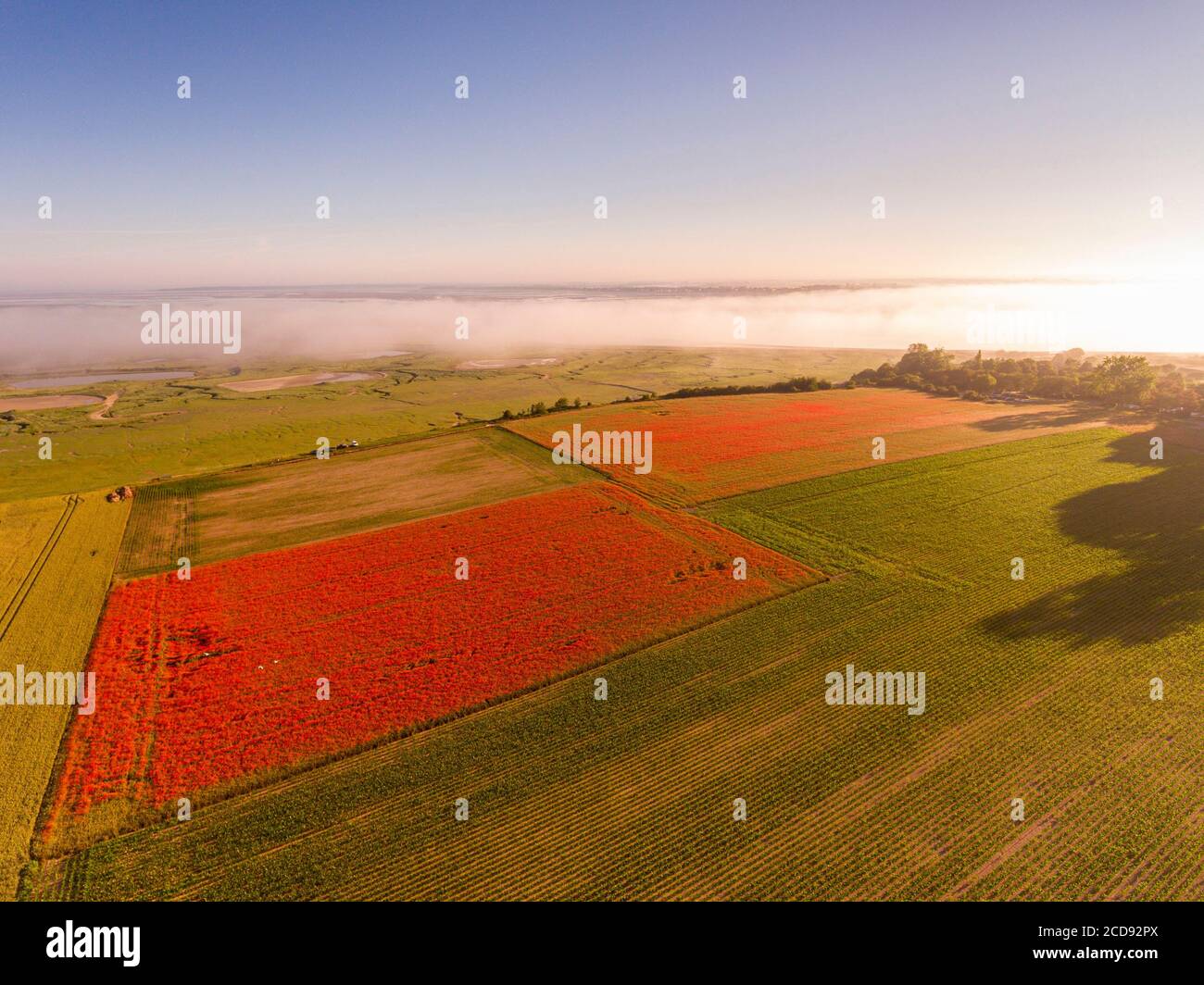 France, Somme, Bay of the Somme, Saint-Valery-sur-Somme, The fields of ...