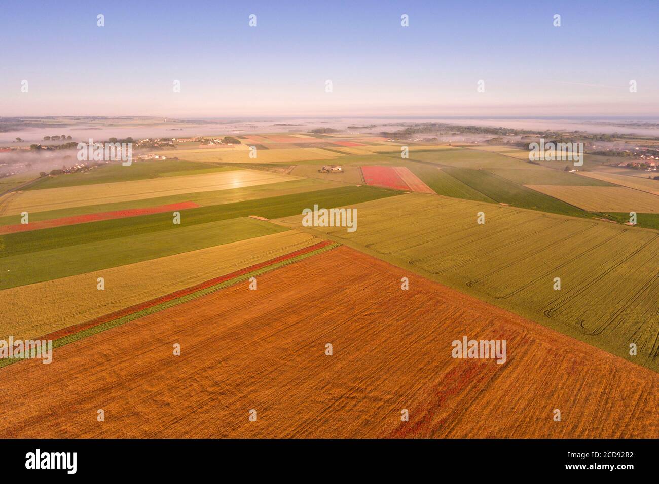 France, Somme, Bay of the Somme, Saint-Valery-sur-Somme, The fields of ...