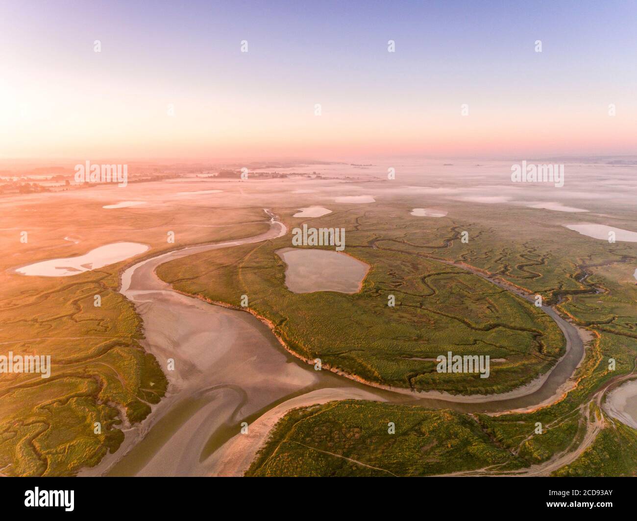 France, Somme, Bay of Somme, Noyelles-sur-mer, the salted meadows of ...