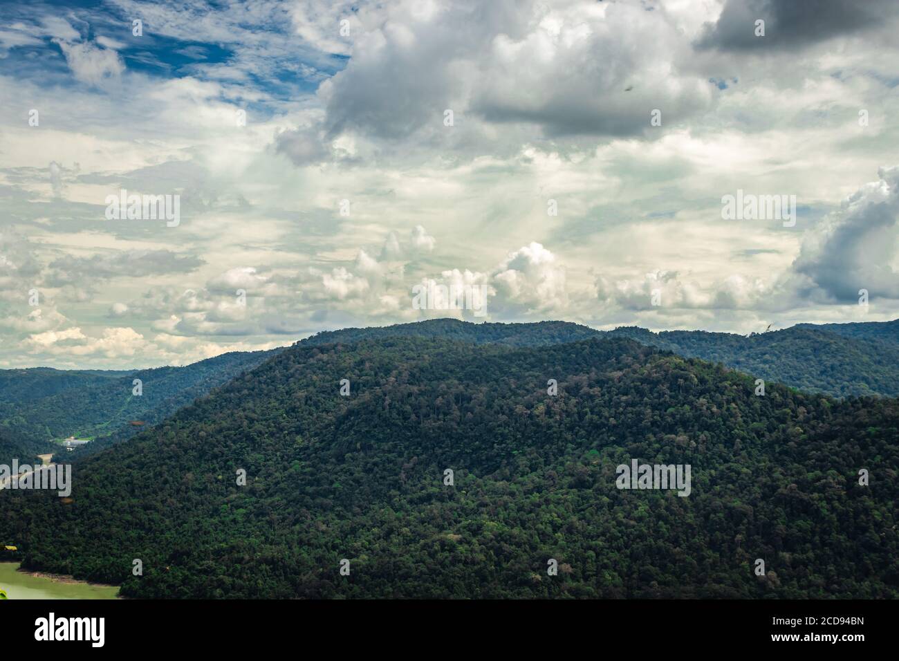 western ghat amazing dense greenery with leading river image is taken ...
