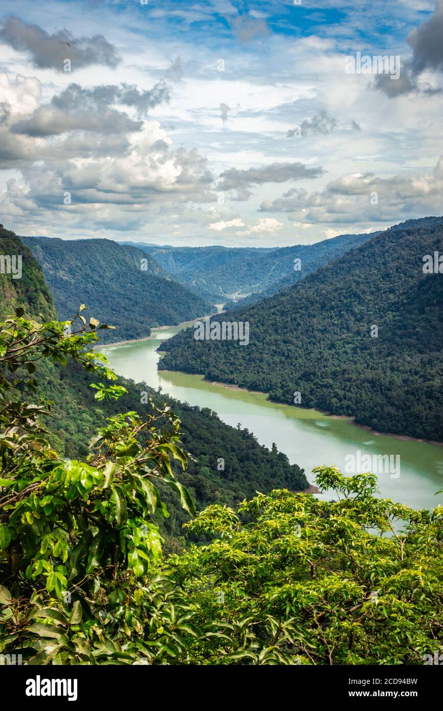 Rain forest of india hi-res stock photography and images - Alamy