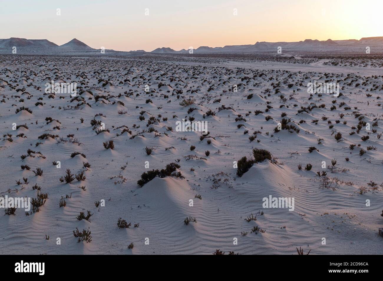 Oued ed dahab hi-res stock photography and images - Alamy