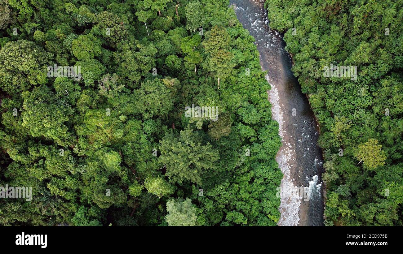 Indonesia, Sumatra island, North Sumatra, Bukit Lawang, Jungle of ...
